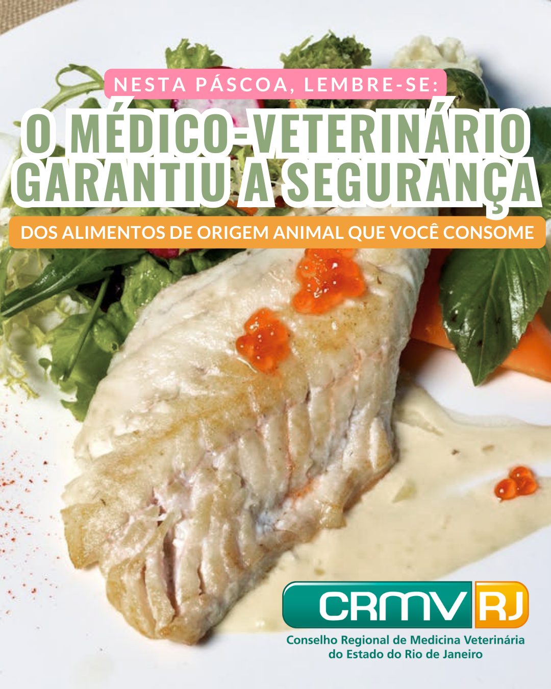 Nesta Páscoa, lembre-se: o médico-veterinário garantiu a segurança dos ...