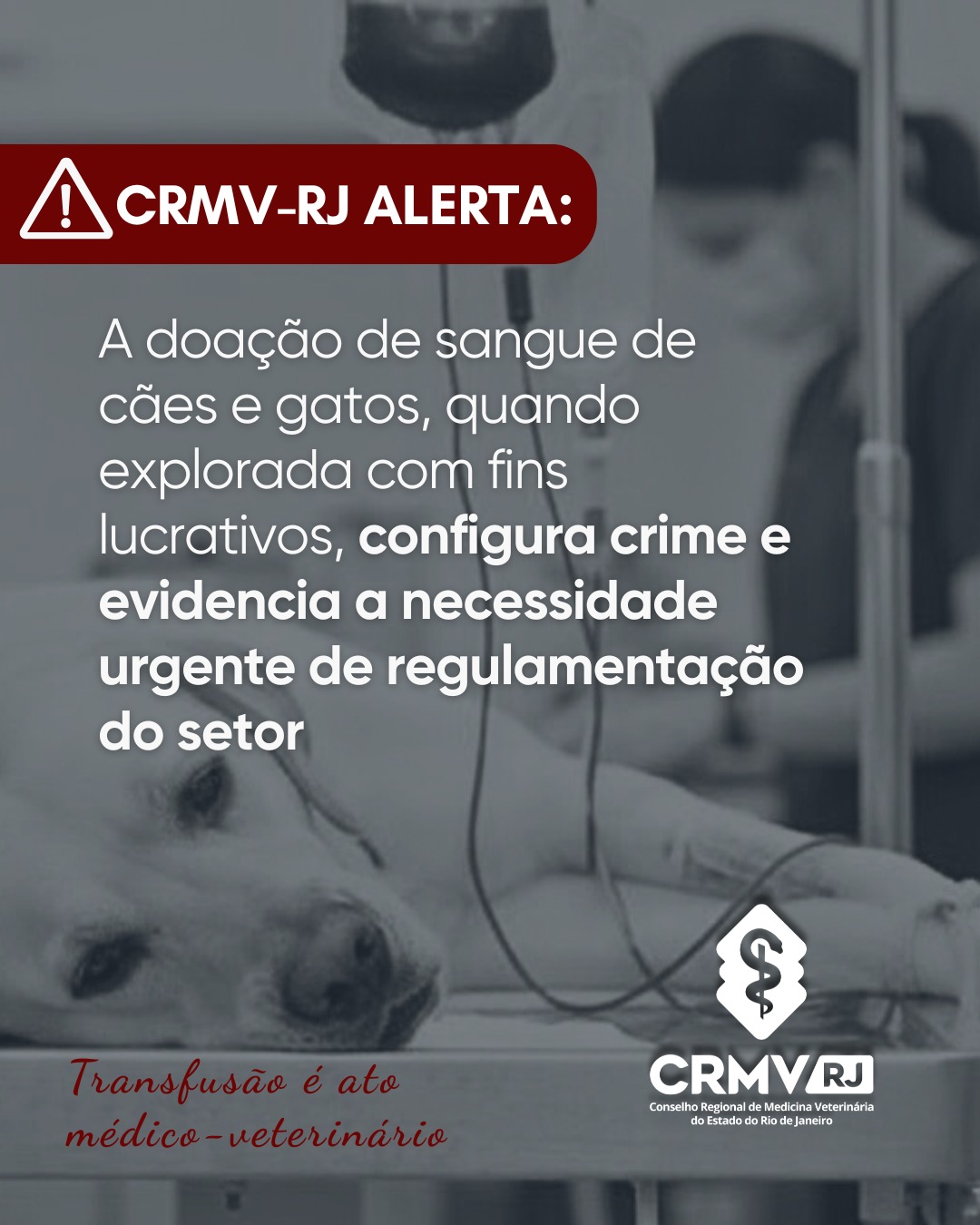 Coleta clandestina reforça a necessidade de regulamentação dos bancos ...